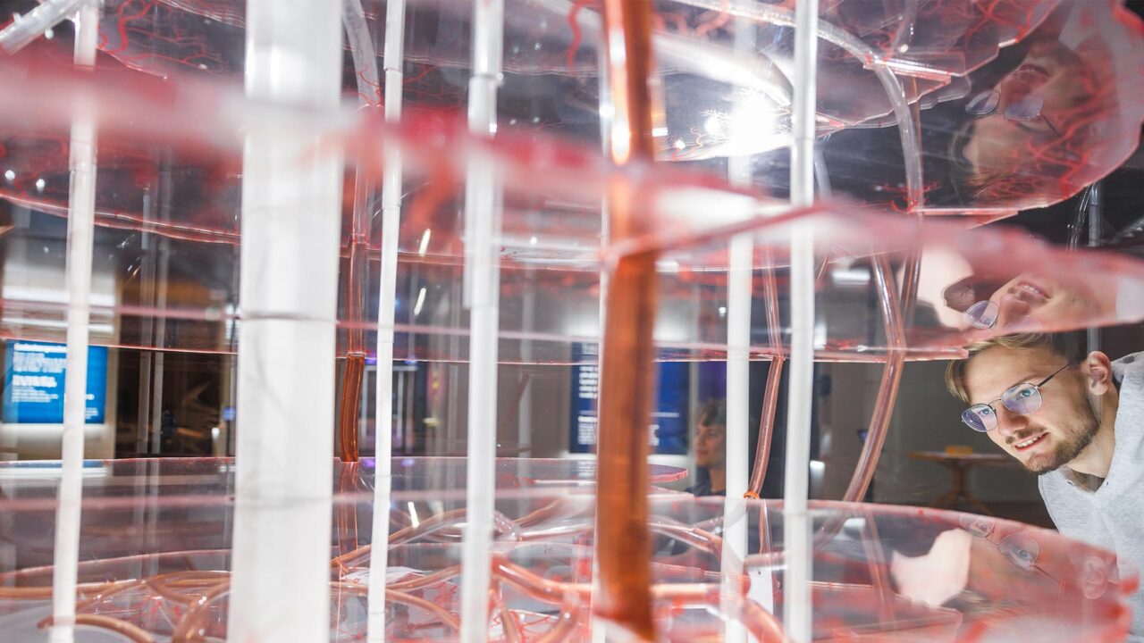 Neues aus der Hirnforschung bei der Robert Mayer Lecture | experimenta